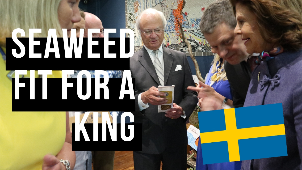 Seaweed Fit for a King | Wild Irish Seaweeds | Organic Irish Seaweed